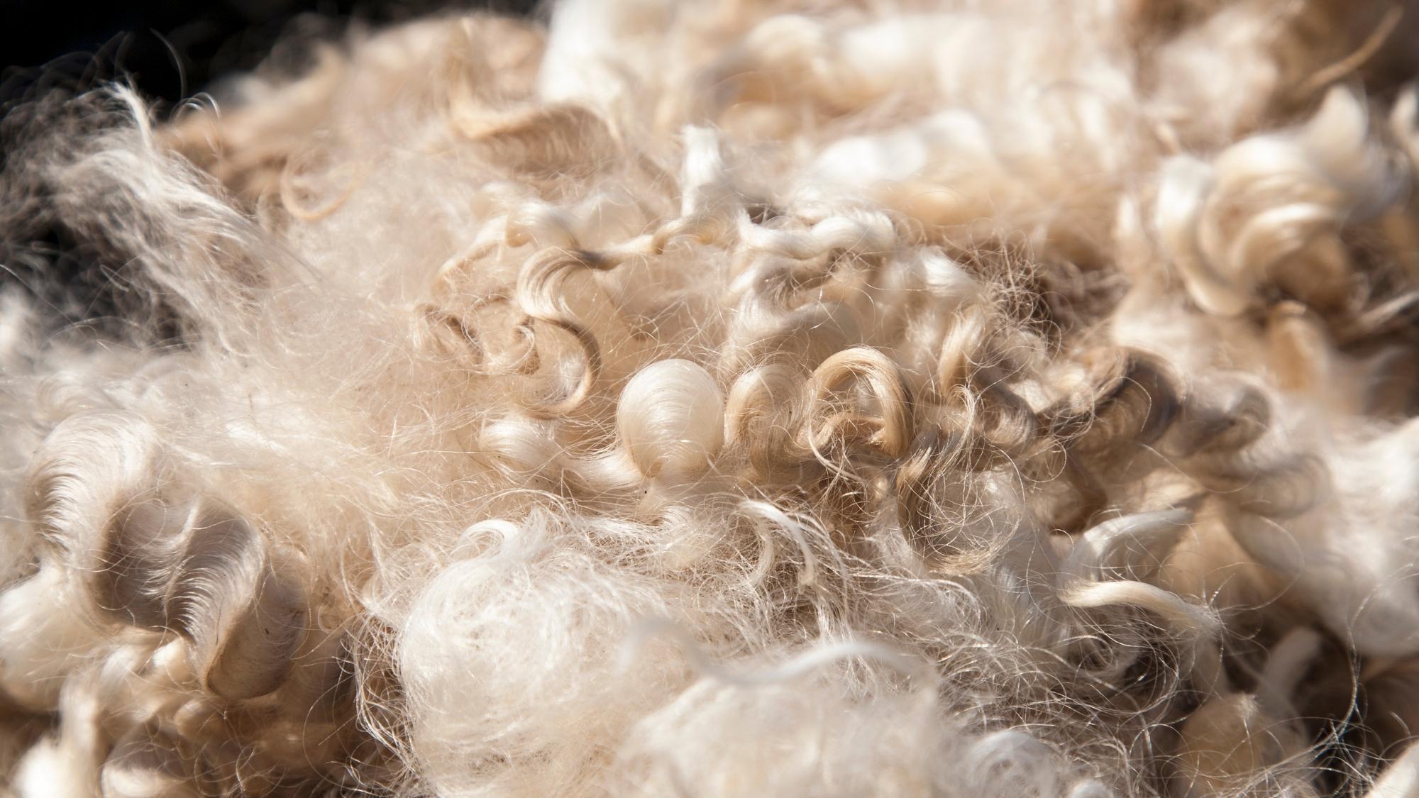 Slutsålt ullhäfte åter i lager! - Hemslöjden – slöjd och hantverk för alla